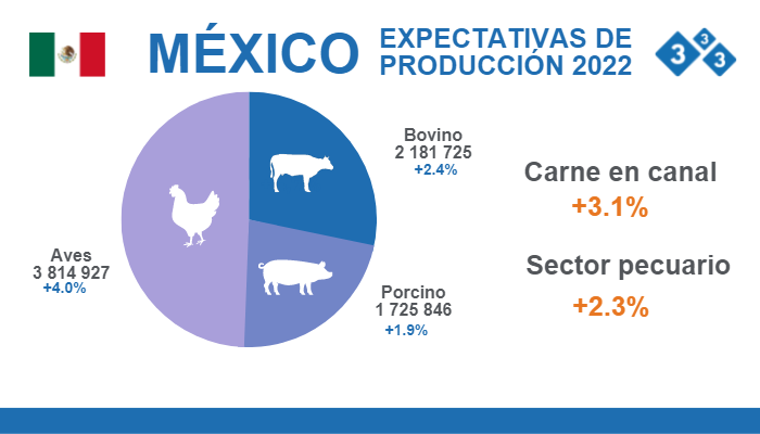 México: Producción porcícola crecería un 1,9% en 2022 - Noticias ...