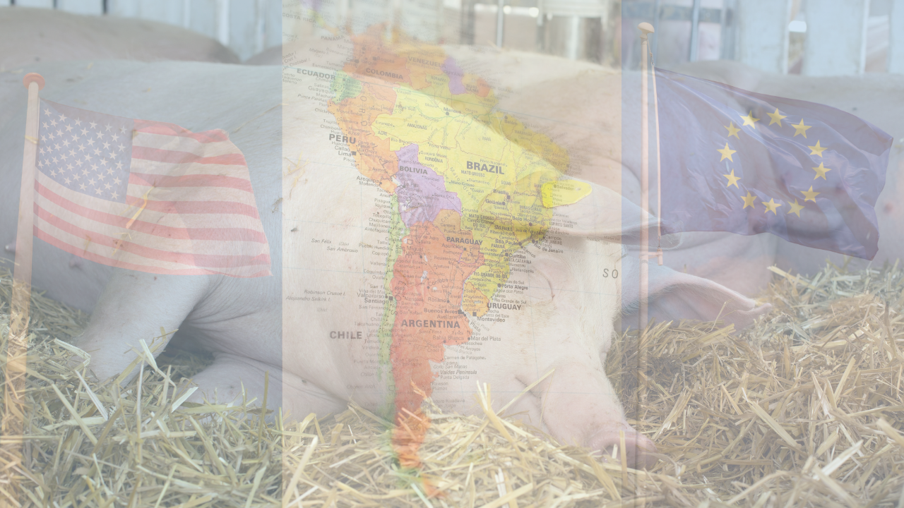 La Prop 12 y la normativa bienestar animal europea impactaran Latatam ...