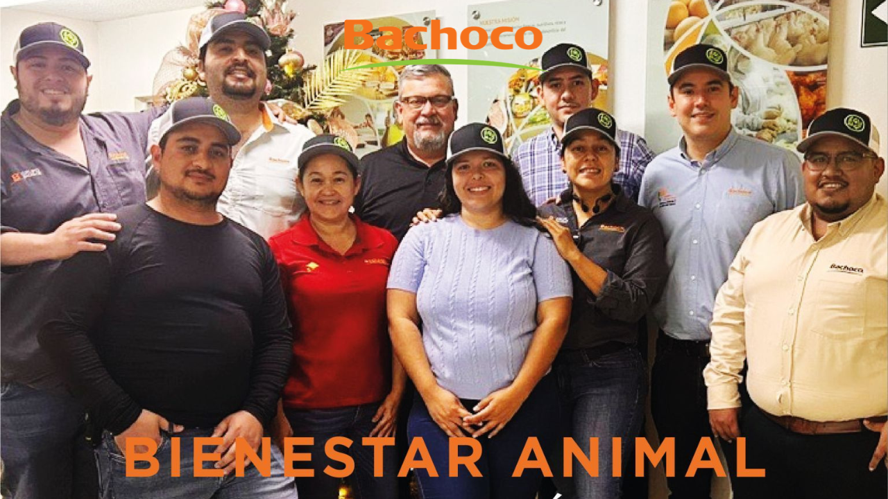 Excelencia en Bienestar Animal: Grupo Bachoco Logra Re-certificaciones ...