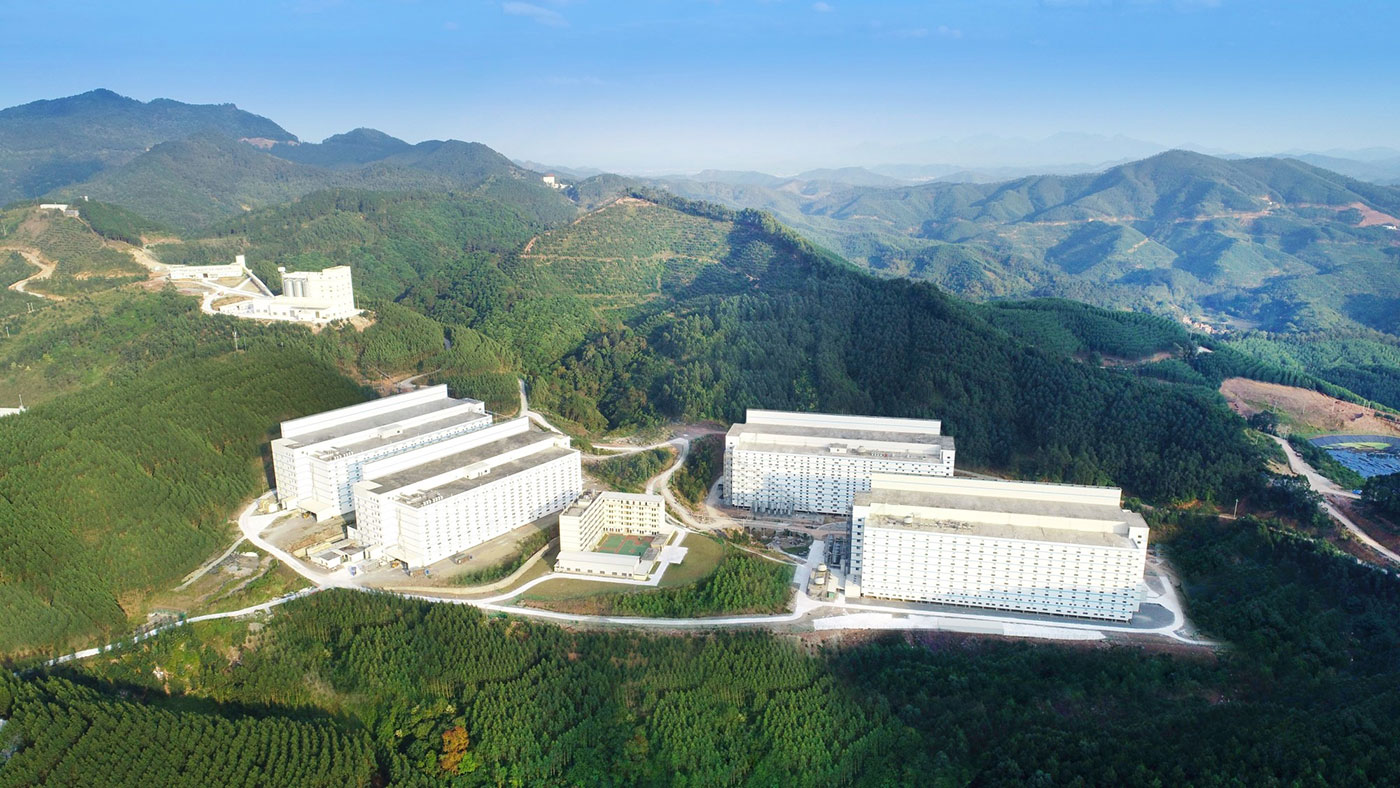 El proyecto Yangxiang - Artículos - 3tres3 México, la página del Cerdo
