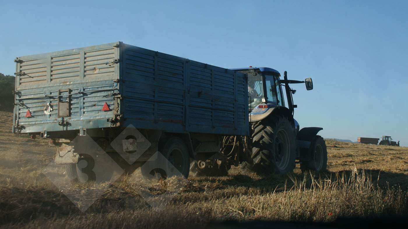 Caída mundial de las producciones genera un incremento de precios ...