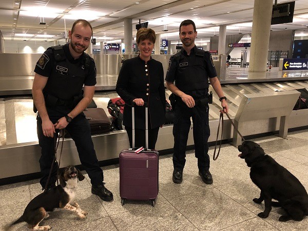 Canada responding to the threat of ASF - Swine news - pig333, pig to ...