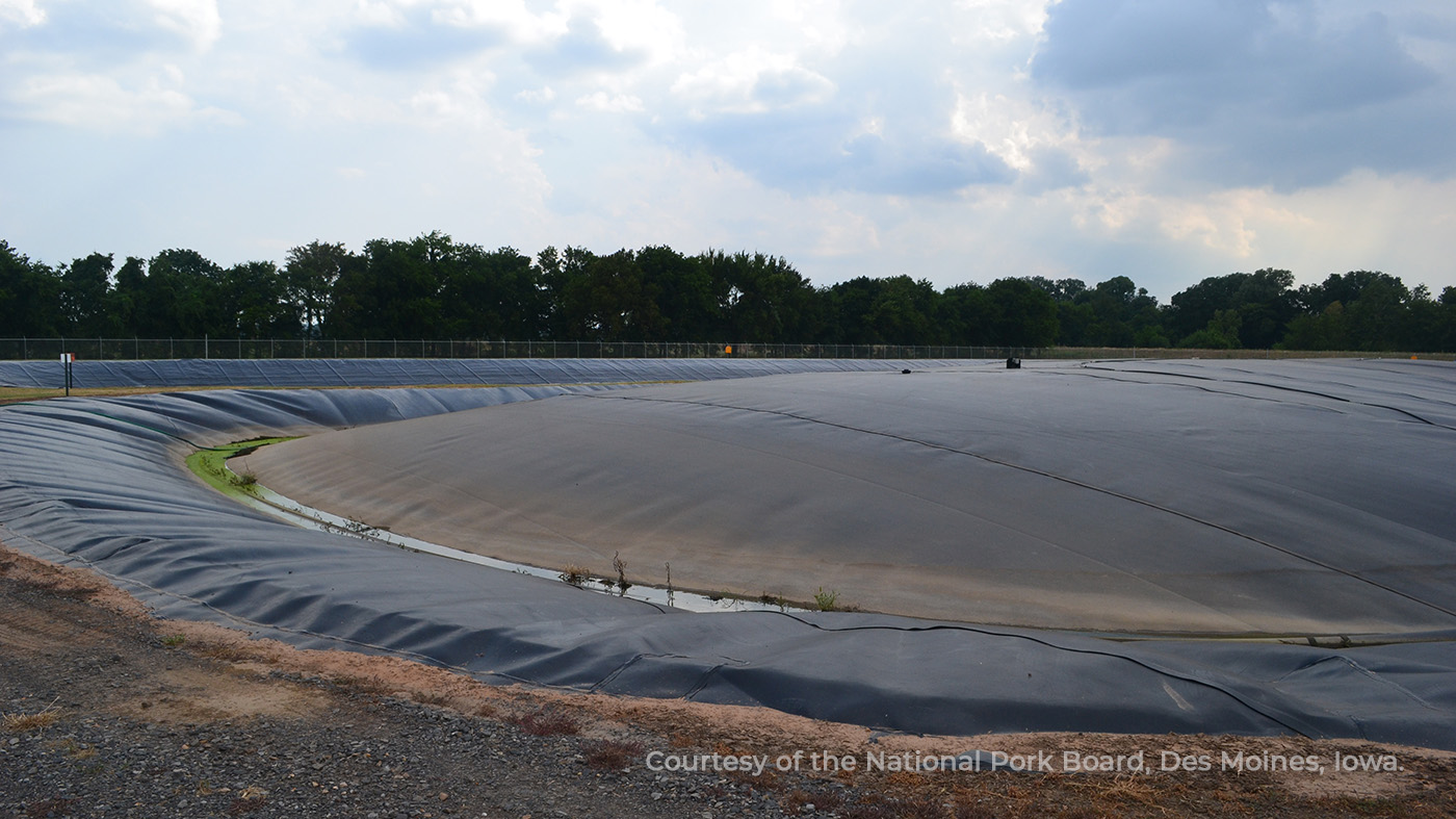 Điểm chiến lược cho tương lai - Biến đổi khí hậu - Bài báo - Cộng đồng ...