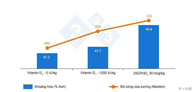 Vitamin và khoáng chất trong việc kiểm soát các vấn đề ở nái - Bài báo - Cộng đồng chuyên ngành heo