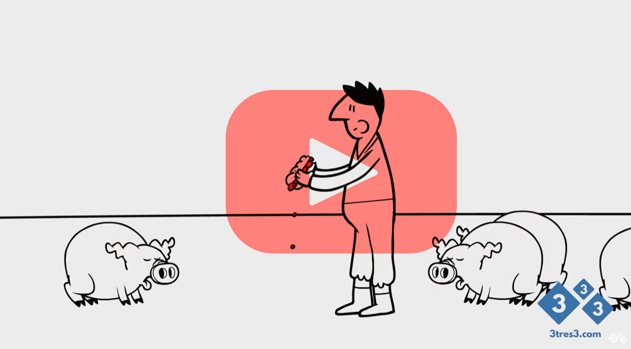 Đừng tạo điều kiện cho vi rút ASF lây lan qua biên giới - Bài báo ...