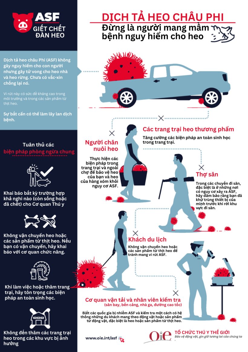 Đừng tạo điều kiện cho vi rút ASF lây lan qua biên giới - Bài báo ...