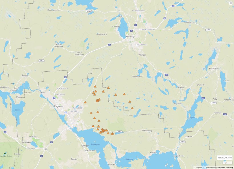 ASF Thụy Điển: Số heo rừng nhiễm bệnh tiếp tục tăng lên đến 41 con ...