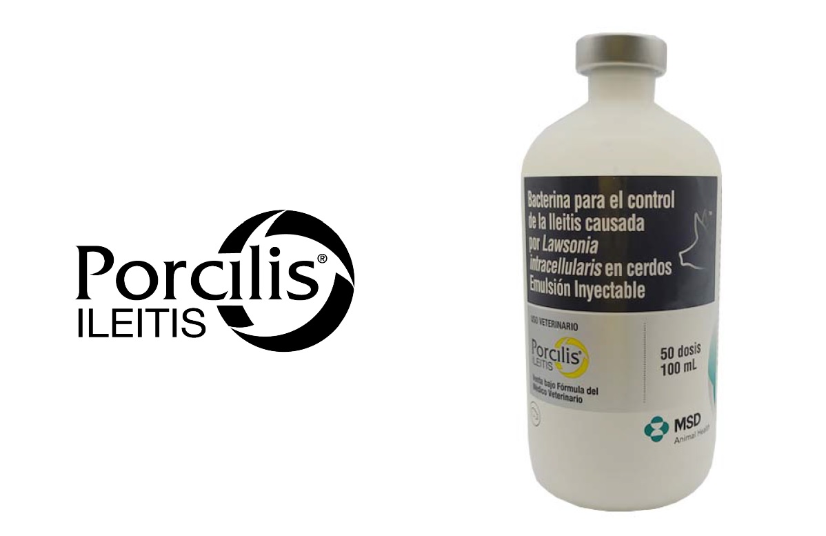 MSD ra mắt vaccine Porcilis® Ileitis tại Việt Nam - Danh mục 333 - Cộng ...