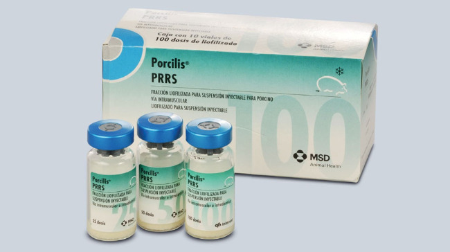 Porcilis® PRRS - Productos - MSD Animal Health en España - 3tres3, la ...