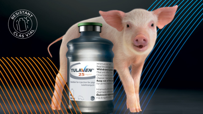 Tulaven® 25 mg/ml - Ceva Salud Animal SA - 3tres3, la página del Cerdo