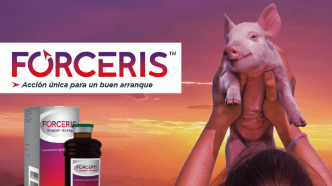 Coccidiosis y Forceris TM - Ceva Salud Animal SA - 3tres3, la página ...