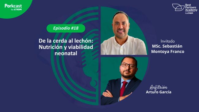 Episodio #18 del PorkCast by ADM: De la cerda al lechón, nutrición y ...