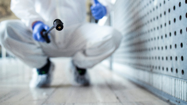 Bioseguridad en granjas porcinas ¡Fórmate con nosotros! - Bioiberica ...