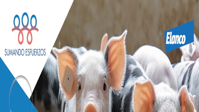 La retirada del óxido de zinc se debe abordar con un enfoque ...