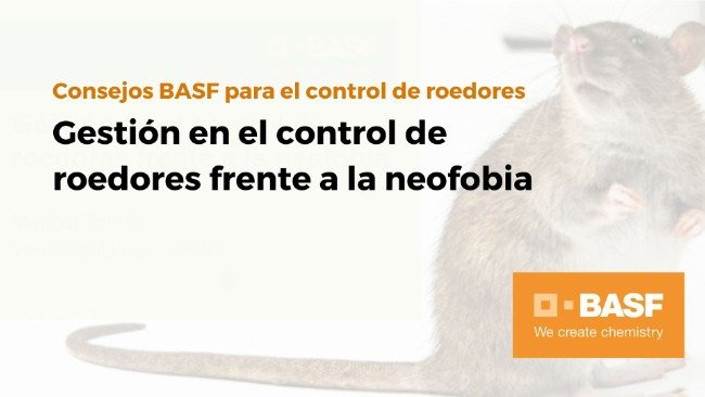 Publicación: BASF Española S.L - 3tres3, la página del Cerdo