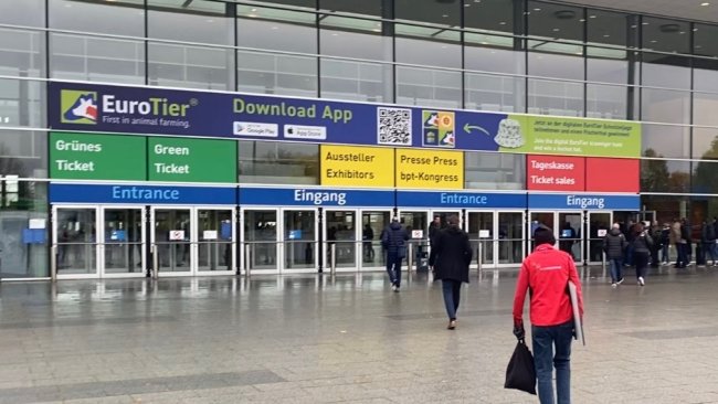 Miquel Crisol - 3tres3, la página del Cerdo