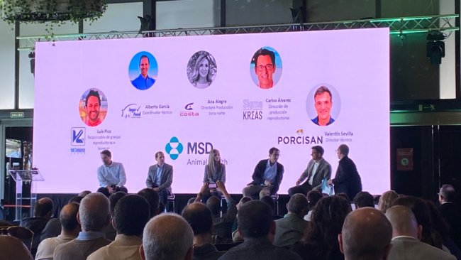 Miquel Crisol - 3tres3, la página del Cerdo