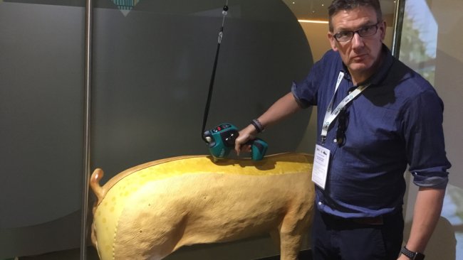 Miquel Crisol - 3tres3, la página del Cerdo