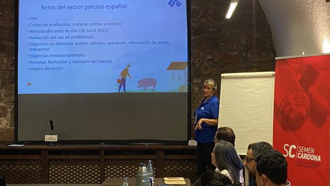 Publicación: Miquel Crisol - 3tres3, la página del Cerdo