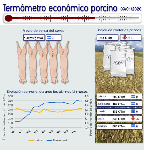 Precio de venta del cerdo: cotización fijada en Mercolleida la semana ...